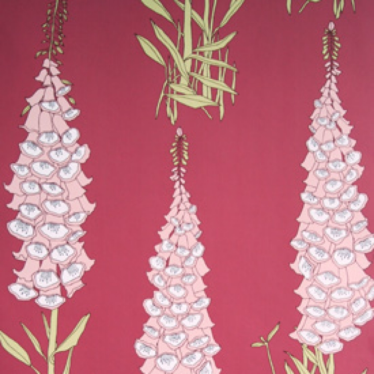 foxgloves wallpaper