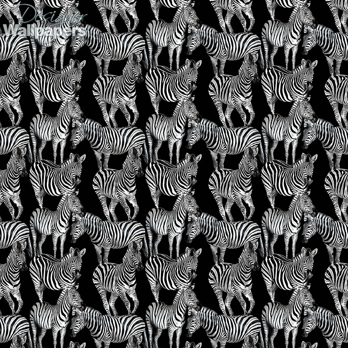 Dolce & Gabbana MULTI ZEBRA PANEL - Next Day Delivery | Designer ...