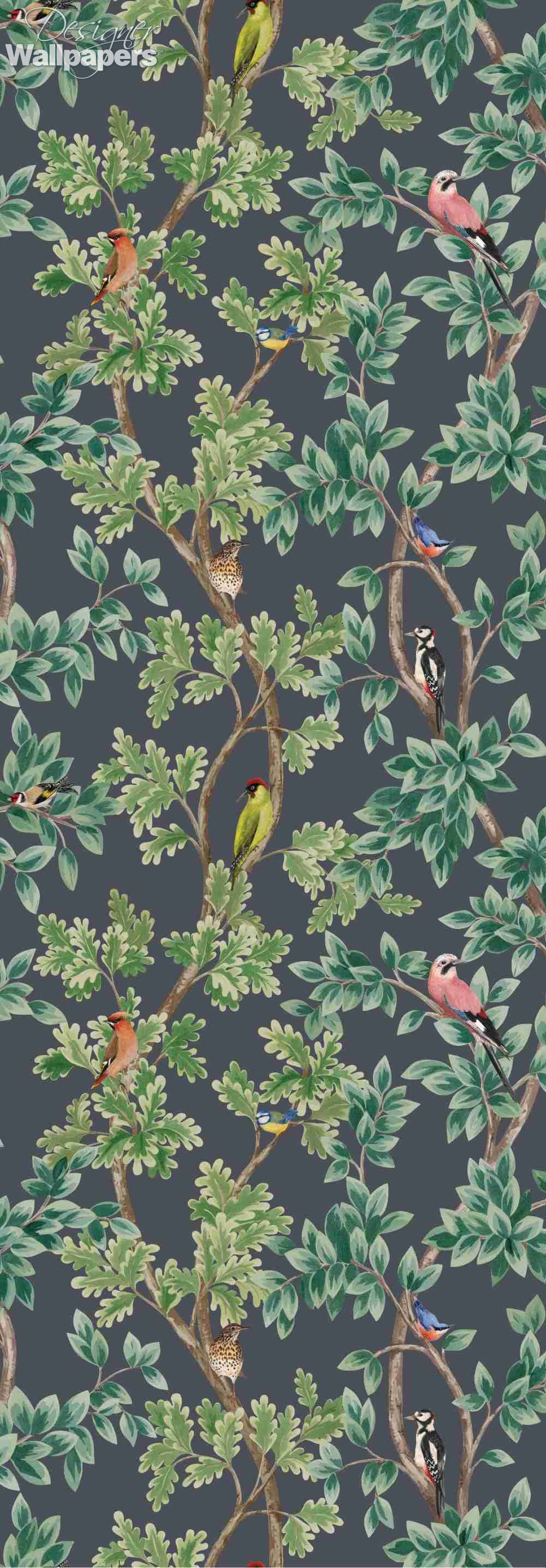 Osborne & Little Netherfield - Next Day Delivery | Designer Wallpapers