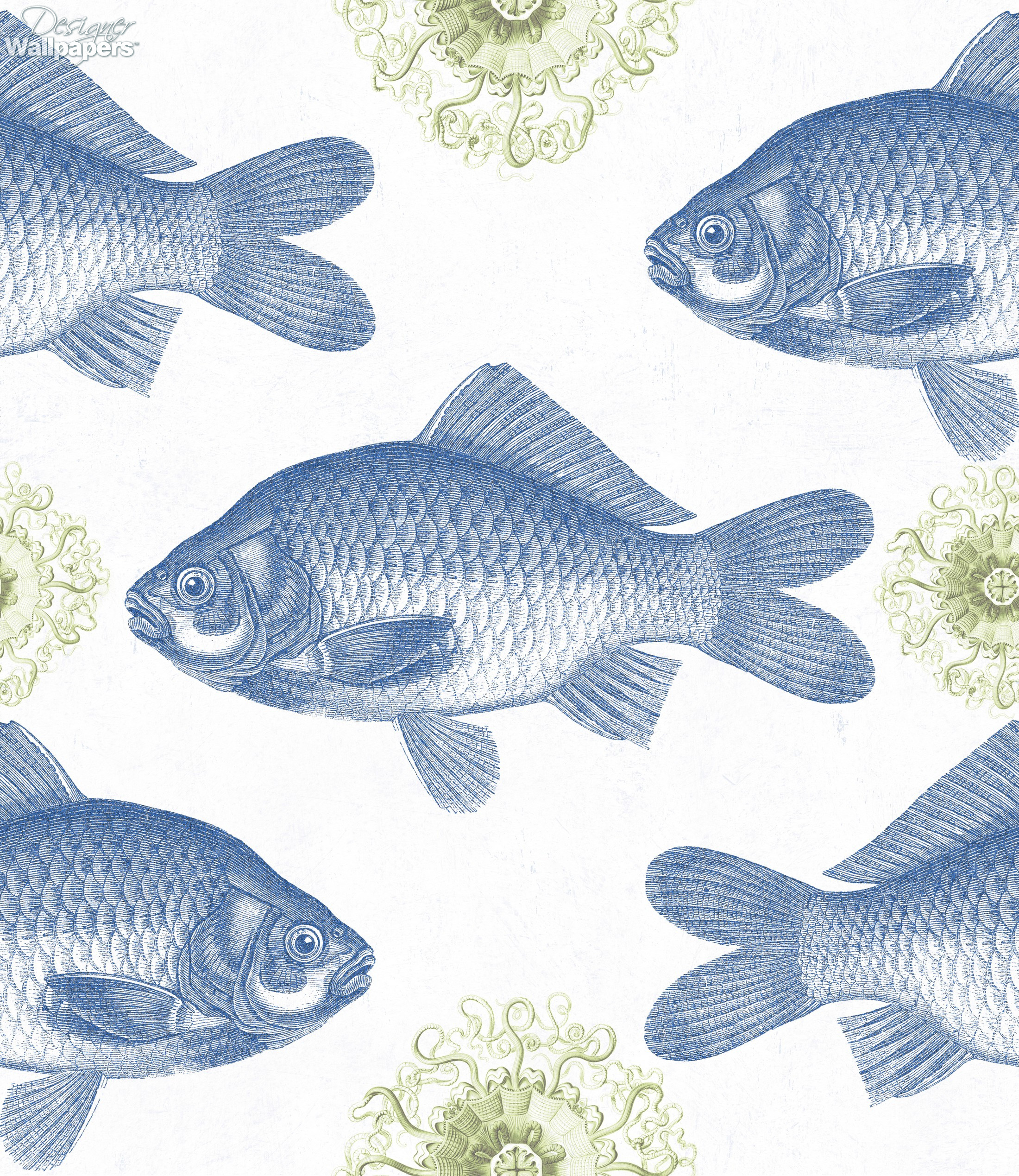 fish wallpaper uk