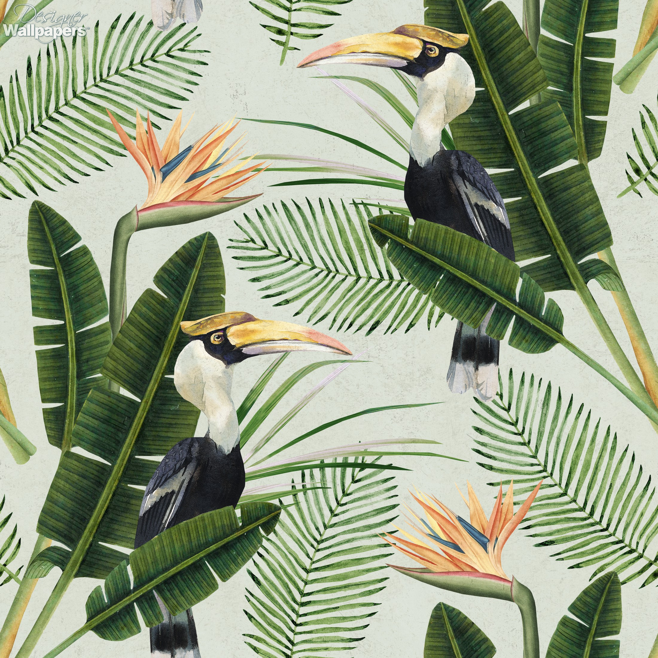bird of paradise wallpaper uk