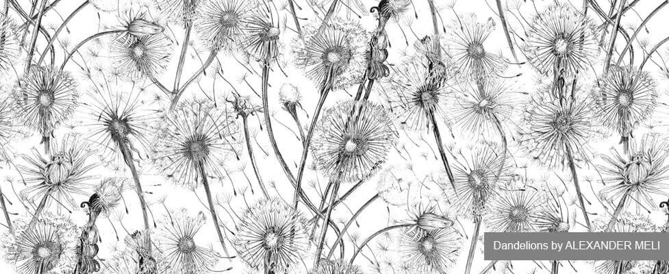 Free Samples and Delivery | Designer Wallpapers™